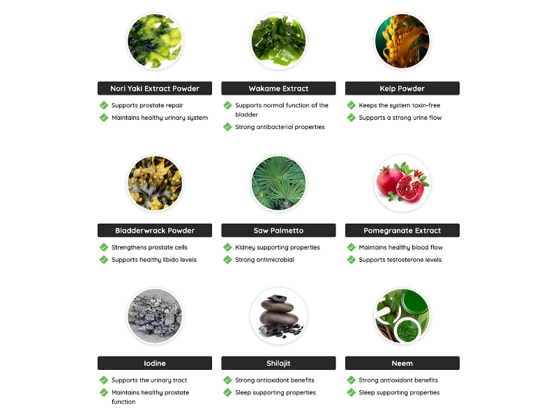 Prostadine Review 2025: Is This Formula Worth It or Scam?